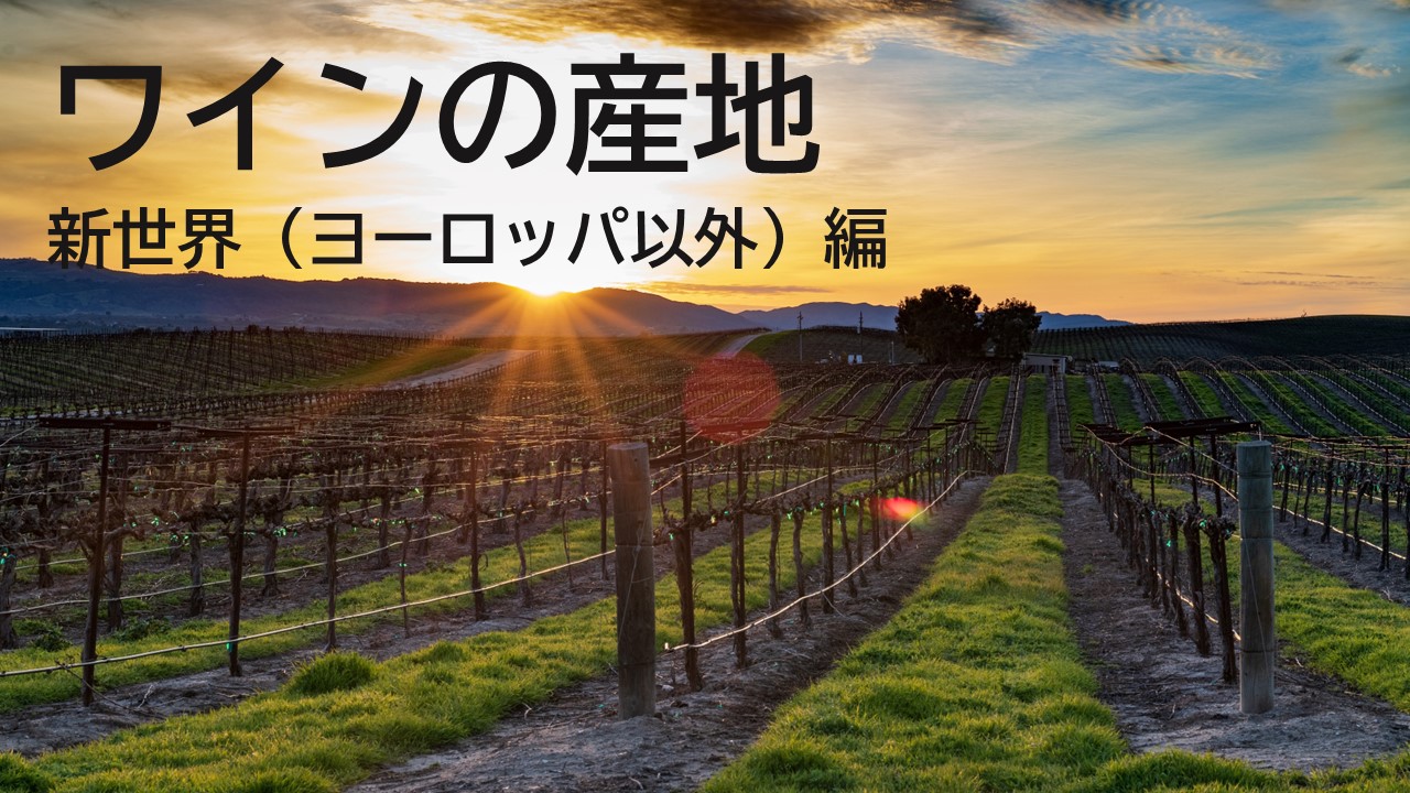 新世界（ヨーロッパ以外）のワイン産地｜tetete-blog